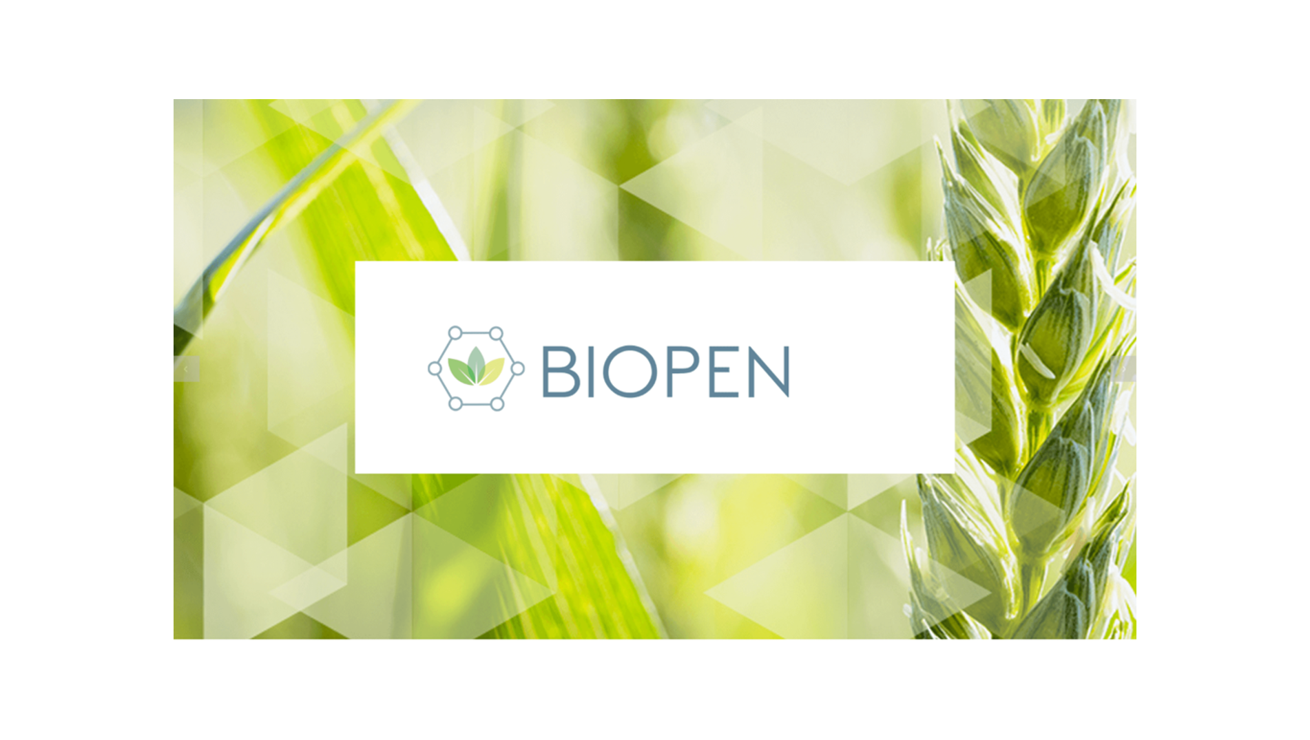 Get a glimpse of what is BIOPEN in the highlight video! » Innovation ...